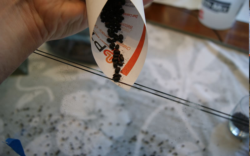 The Ultimate Home Brewing Bar