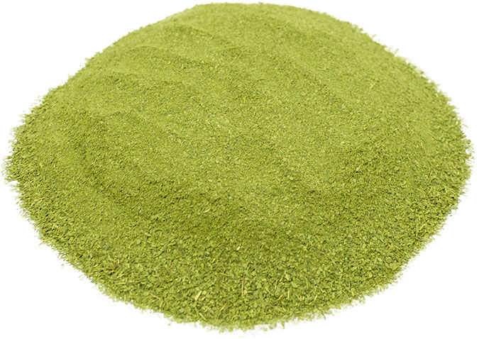 Gesho Kitel - Ethiopian Hop Powder (1 lb)
