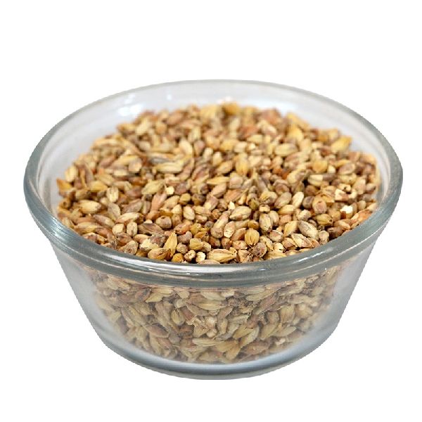 Briess Special Roast Malt