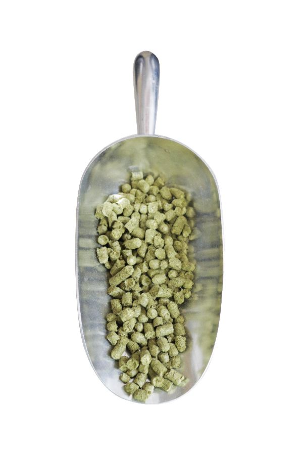 Galena Hop Pellets
