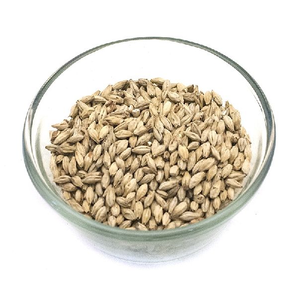 Dingemans Biscuit MR50 Malt