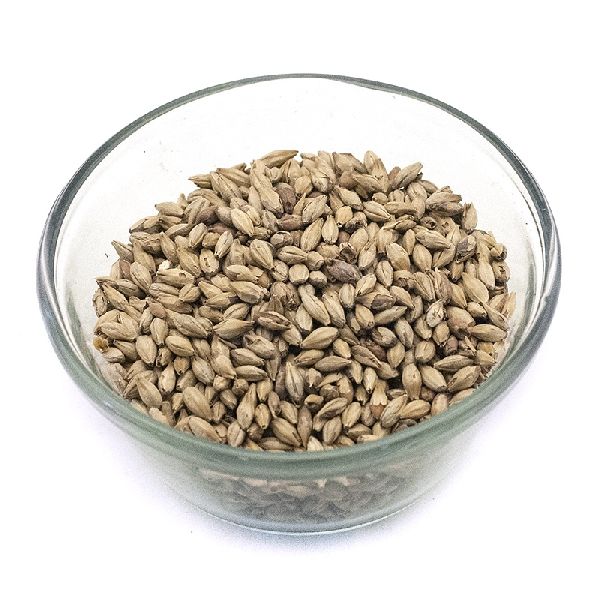 Dingemans Special B Malt